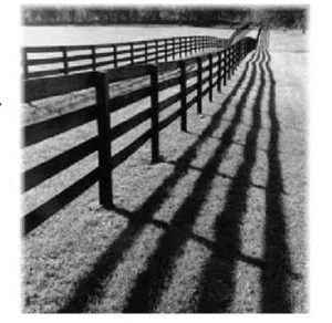 Depth Perception: Binocular and Monocular Cues - Decroly Education ...